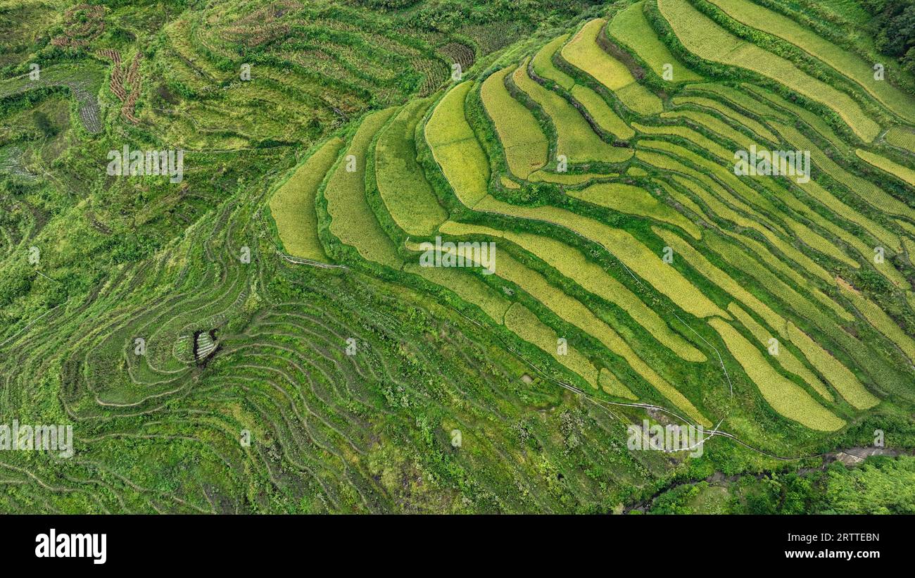 Aerial photo shows the terraced field in Youyang Tujia and Miao ...