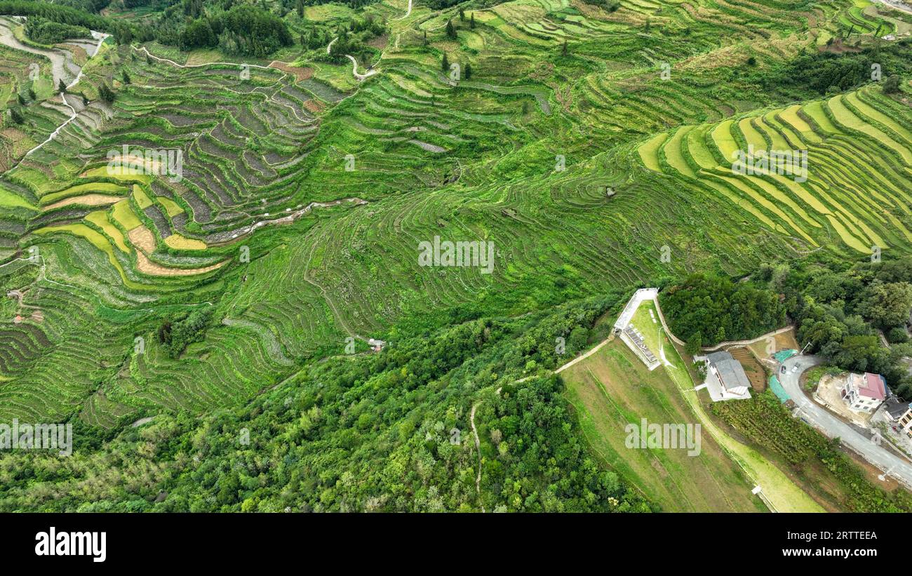 Aerial photo shows the terraced field in Youyang Tujia and Miao ...
