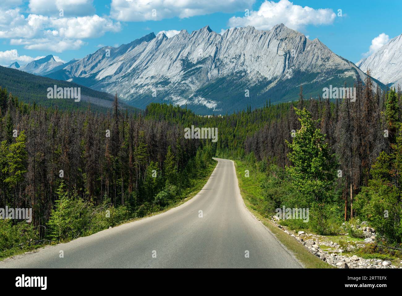 Icefields Parkway highway road between Banff and Jasper national park ...
