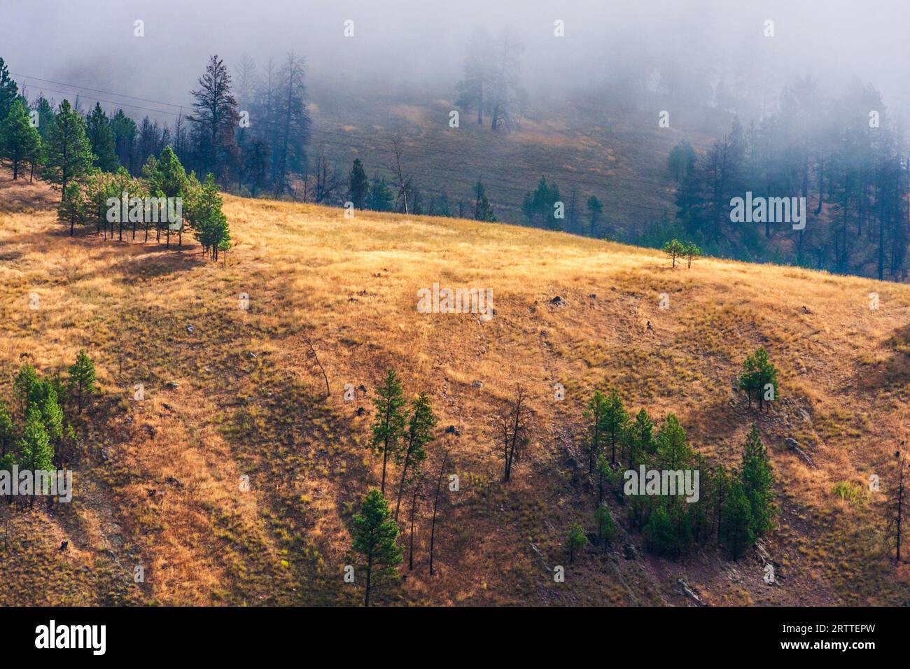 American interstate highway system hi-res stock photography and images ...