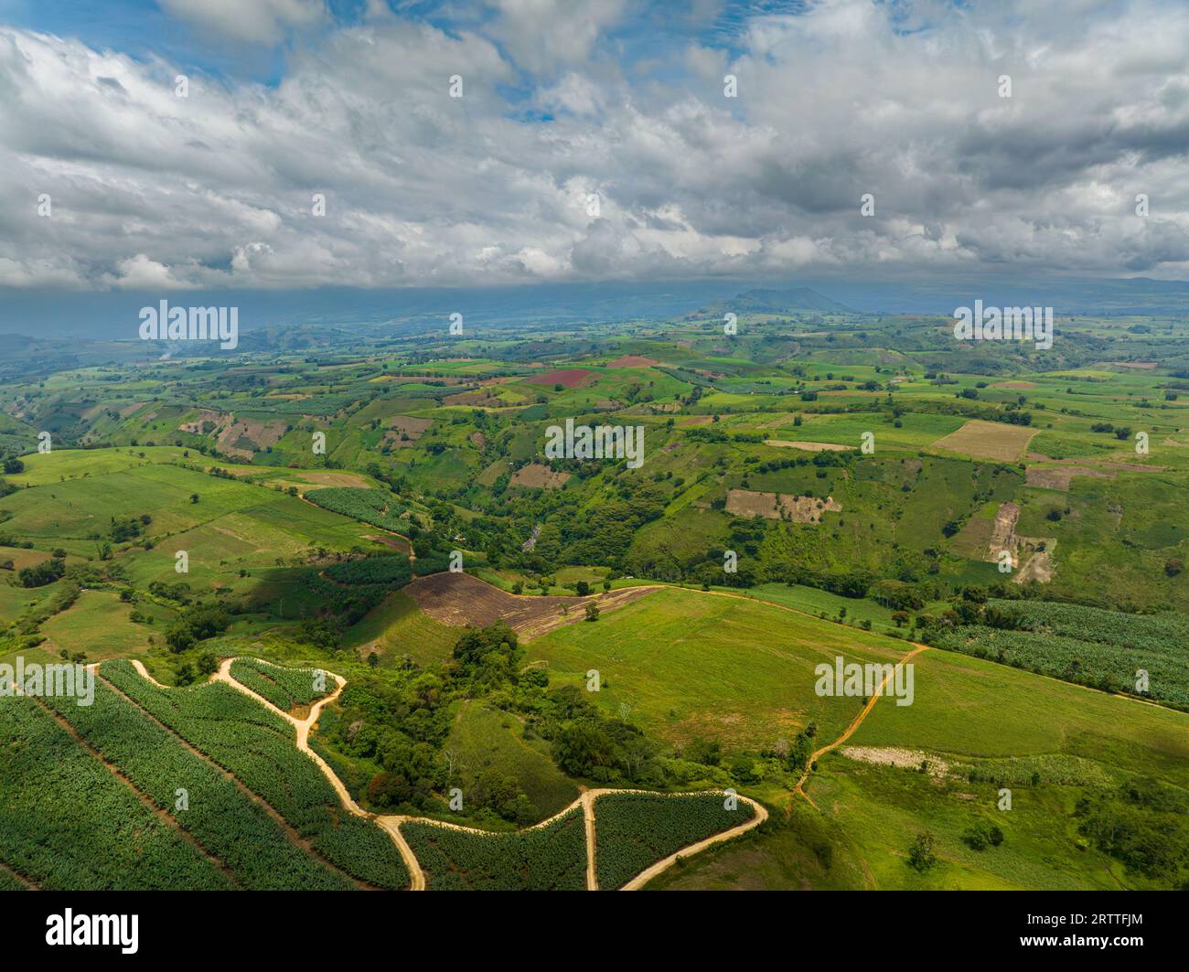 Cultivable land greenery forest in hi-res stock photography and images ...