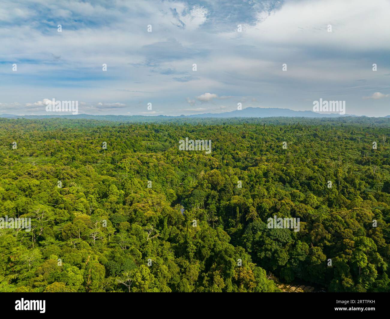 Aerial view of Tropical Mountain with green forest. Mindanao ...