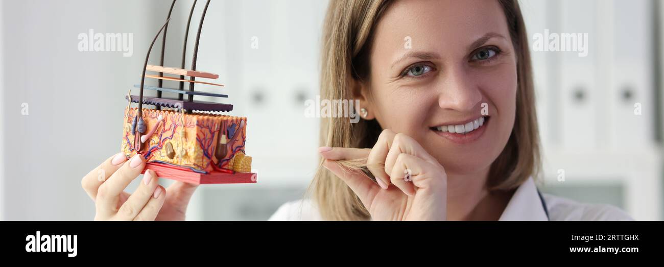 Dermatologist holding skin structure anatomy hi-res stock photography ...