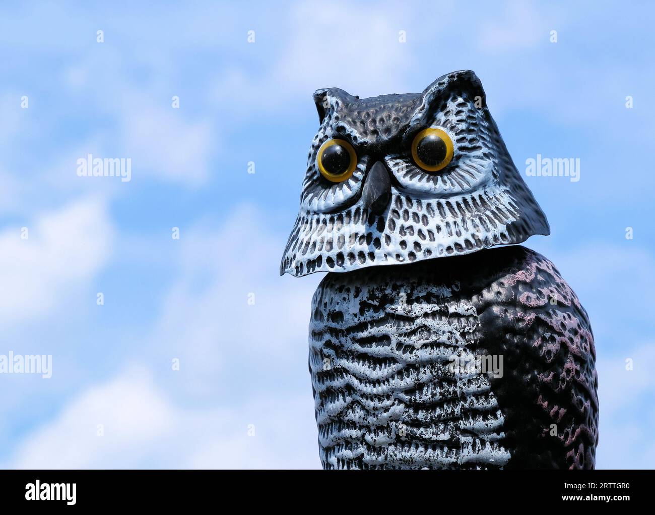 Close-up photo of decoy owl against a blue sky and white cloud ...