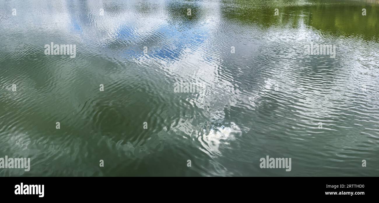 calm water surface with ripples and reflections of sky and trees ...