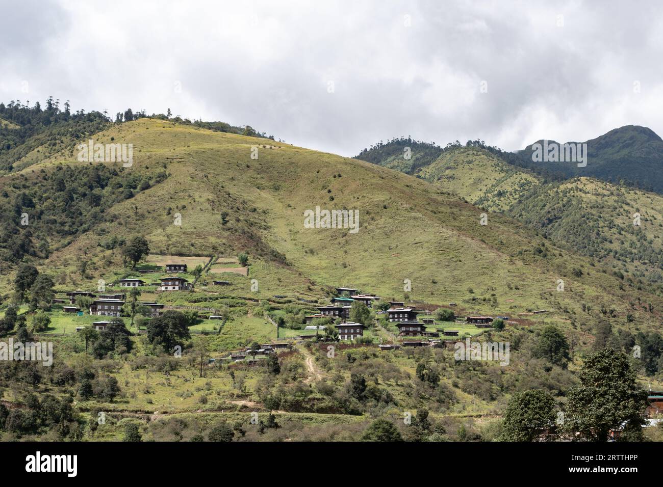 Houses in Bhutan's mountain slopes, nestled in scattered settlements ...
