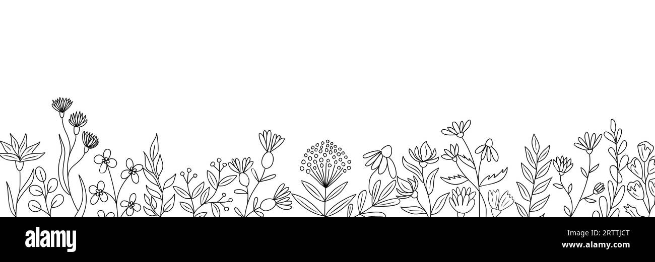 Wild blooming meadow flowers and herbs border Stock Vector Image & Art ...