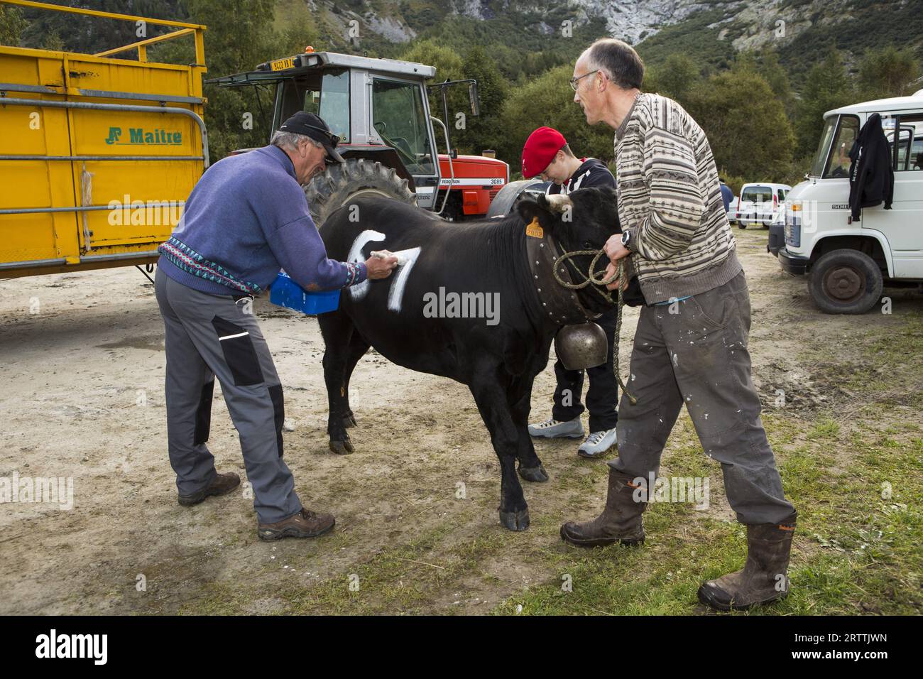 FRANCE. HAUTE-SAVOIE (74) CHAMONIX, LE TOUR, BATTLE OF THE QUEENS ...