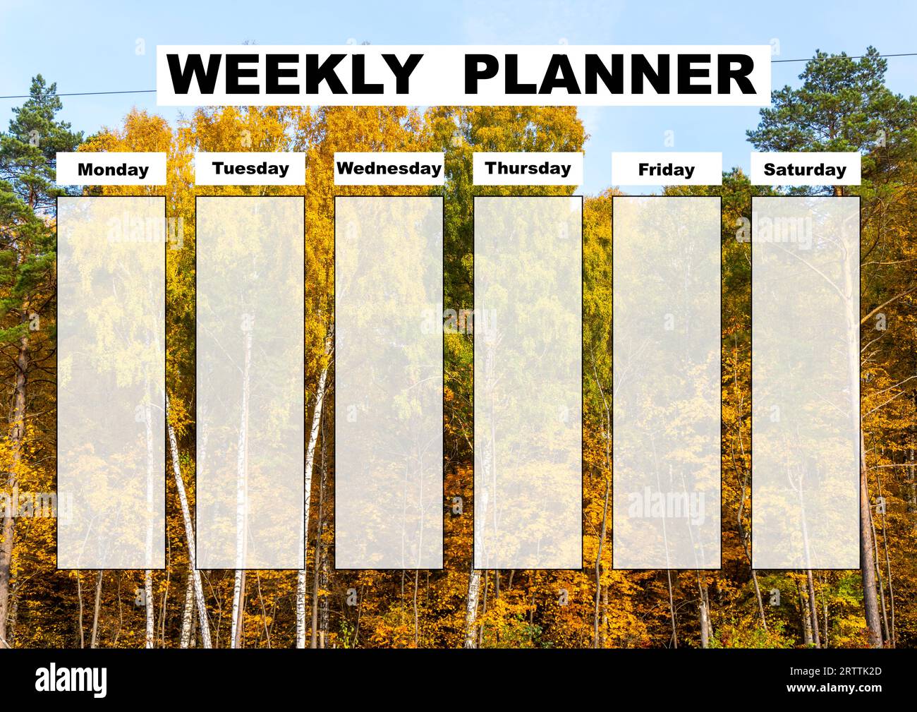 Beautiful weekly planner, school timetable education, can be used as an ...