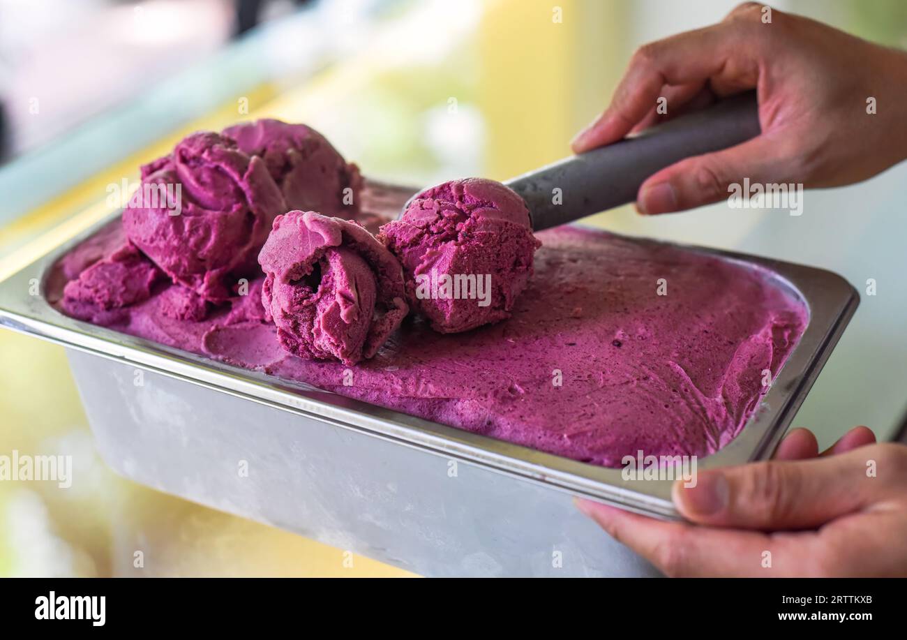 hand scooping a scoop of Mulberry ice cream into a spoon in fridge ...