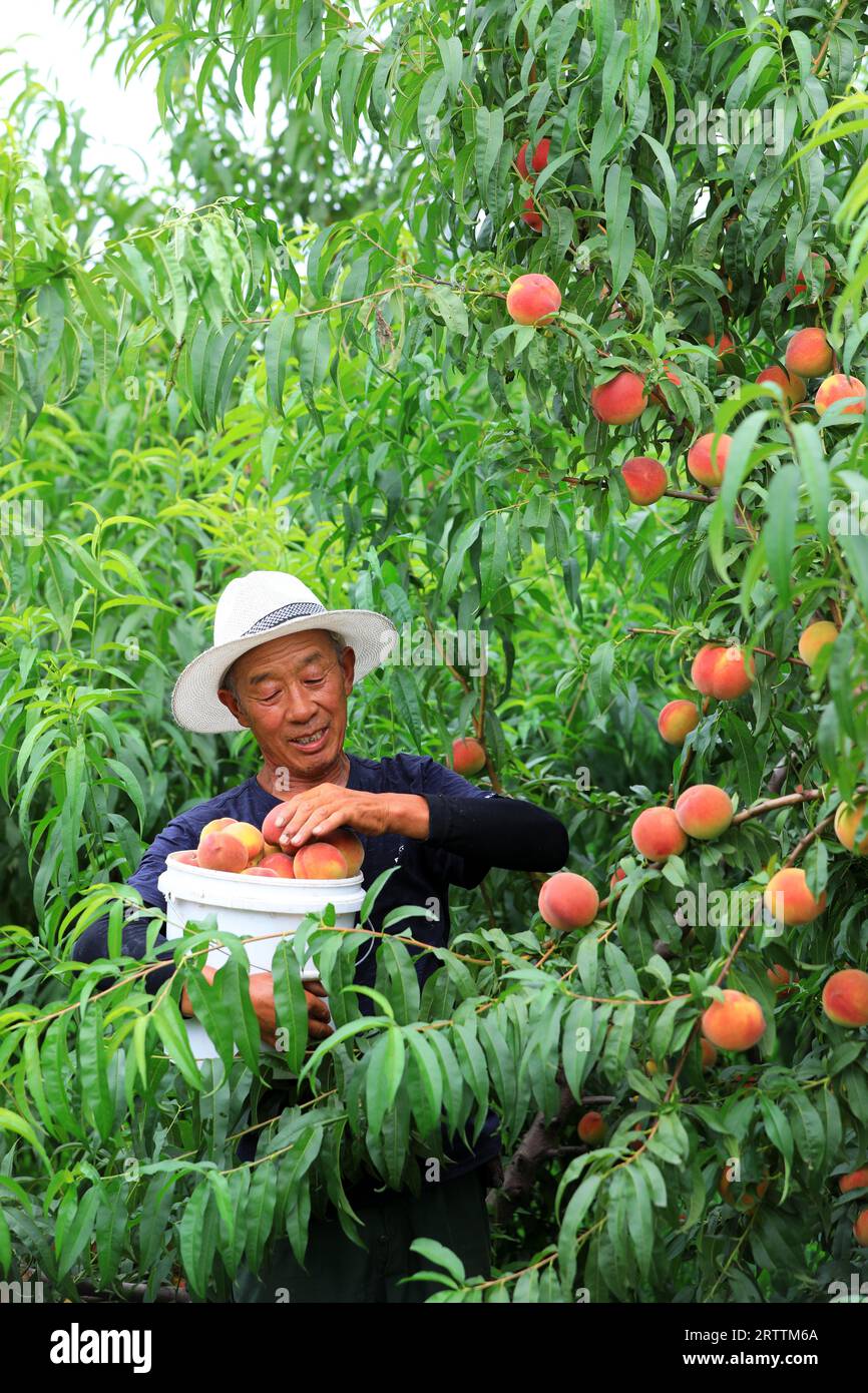 Ecological agriculture workers china hi-res stock photography and ...