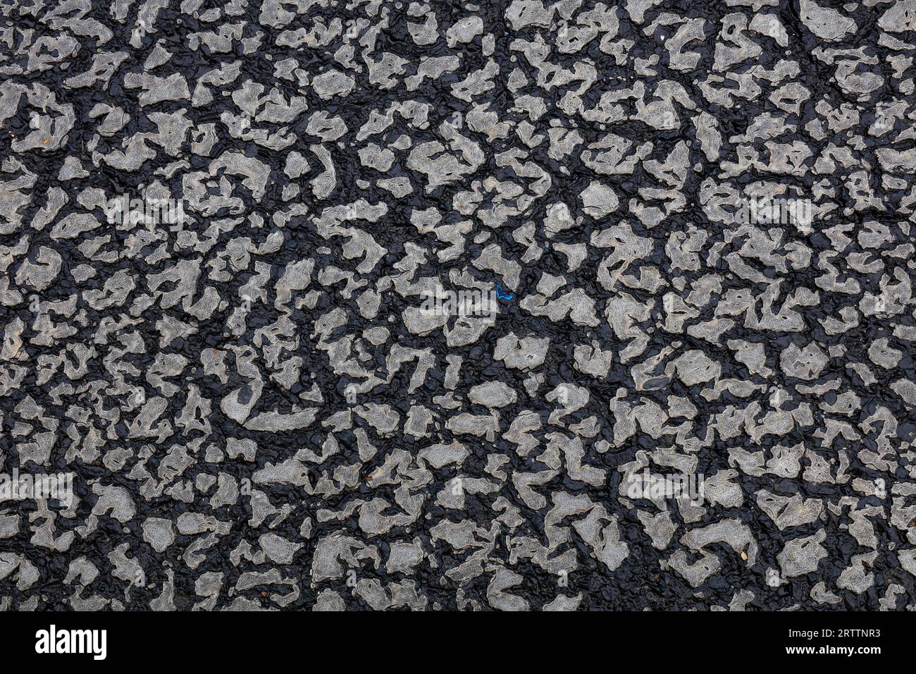 Pavement close up hi-res stock photography and images - Alamy