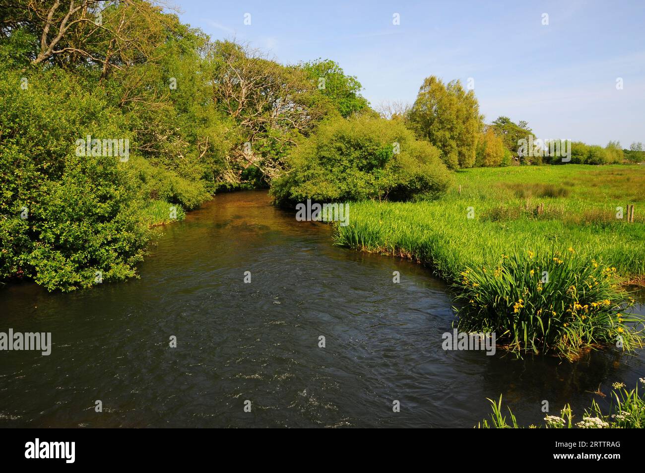 Bockhampton dorset hi-res stock photography and images - Alamy