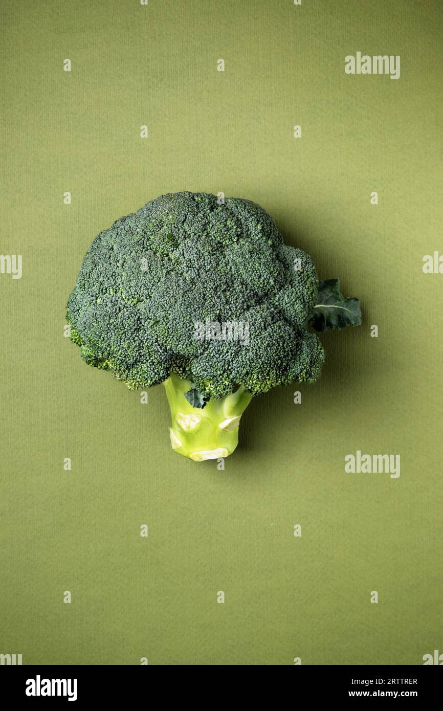 Fresh broccoli on green background. Whole raw broccoli cabbage ...