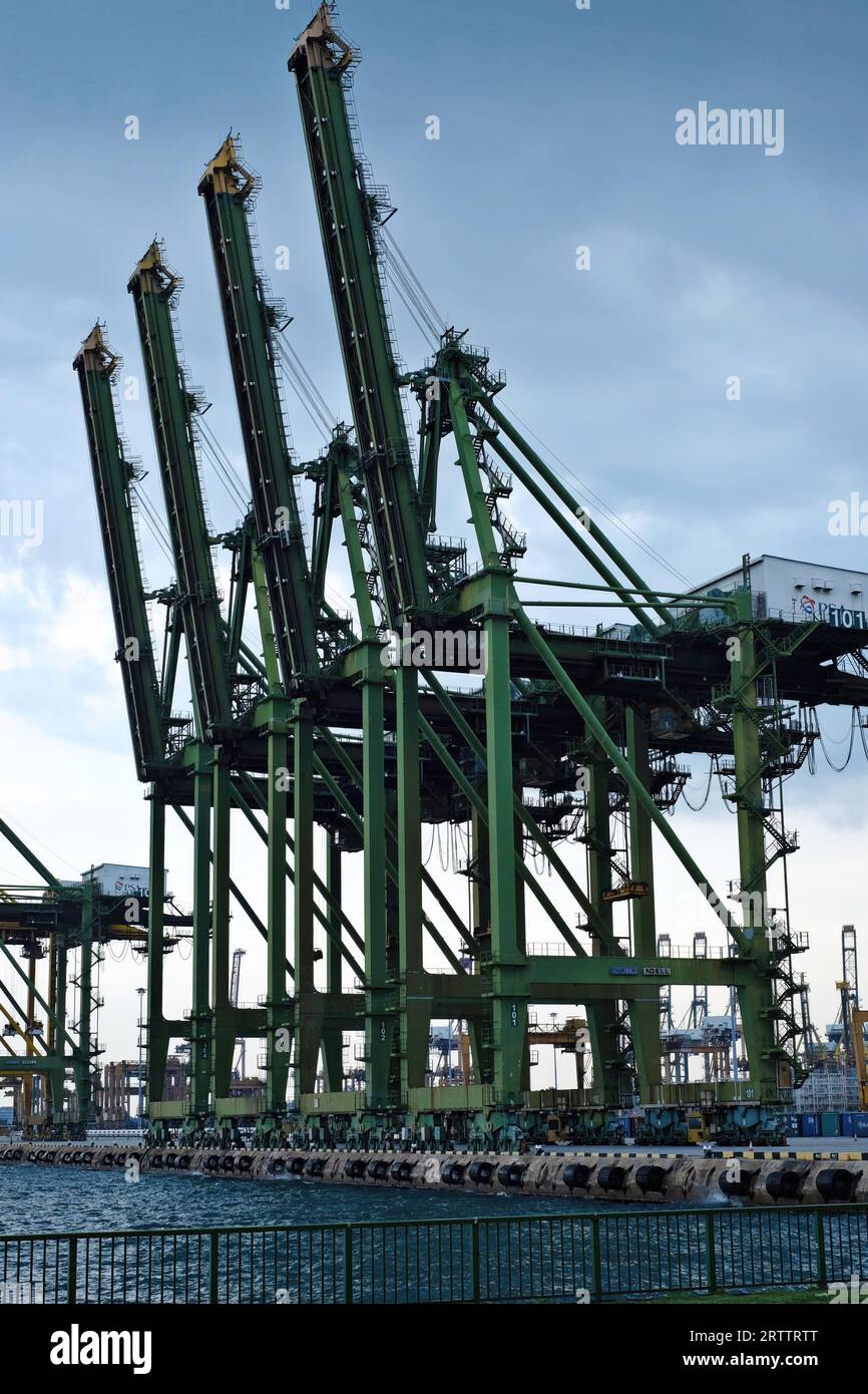 Olive green gantry cranes for lifting shipping containers at Tanjong ...