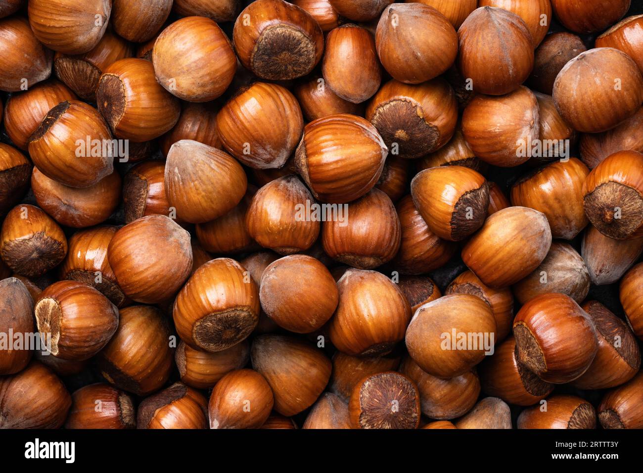 Hazelnuts background. Pile of hazelnuts top view. Food background Stock ...
