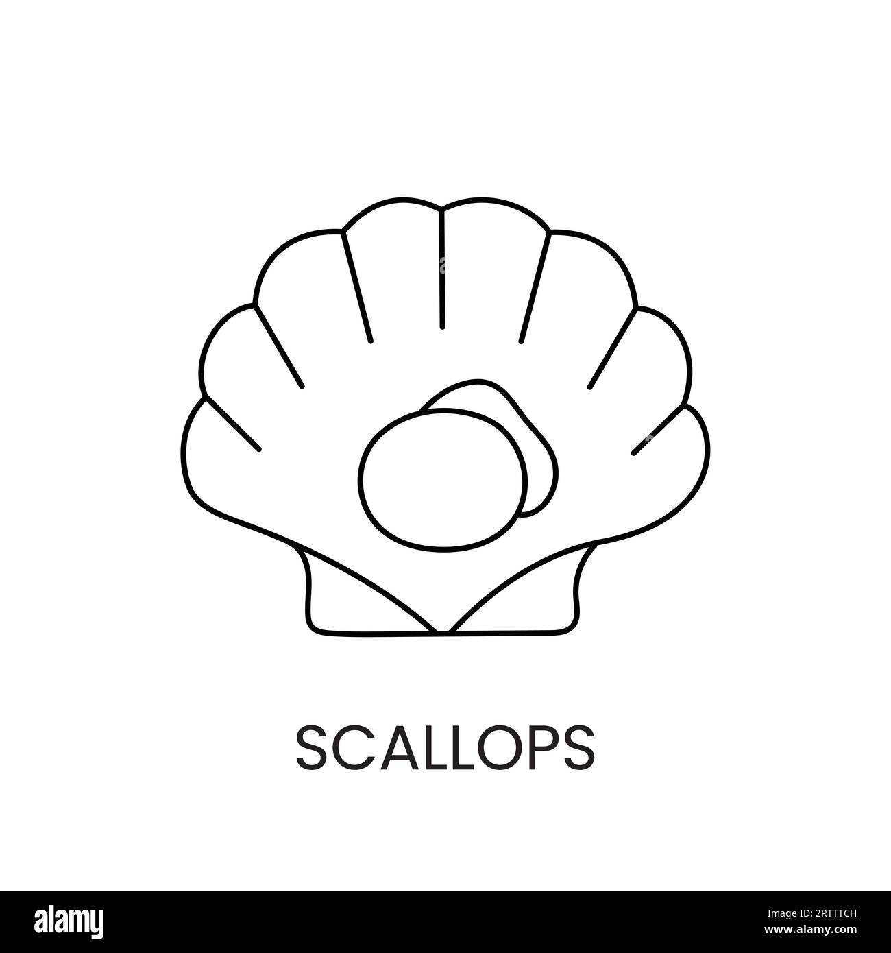 Scallop line icon in vector, seafood illustration Stock Vector Image ...
