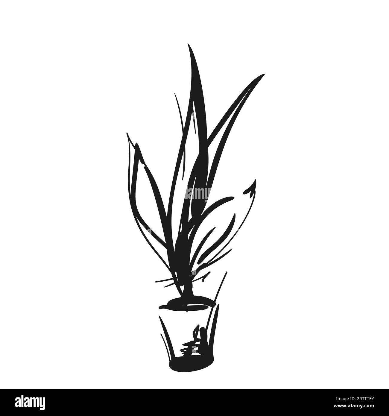 Houseplant in pot quirky digital sketch, Vector abstract illustration ...