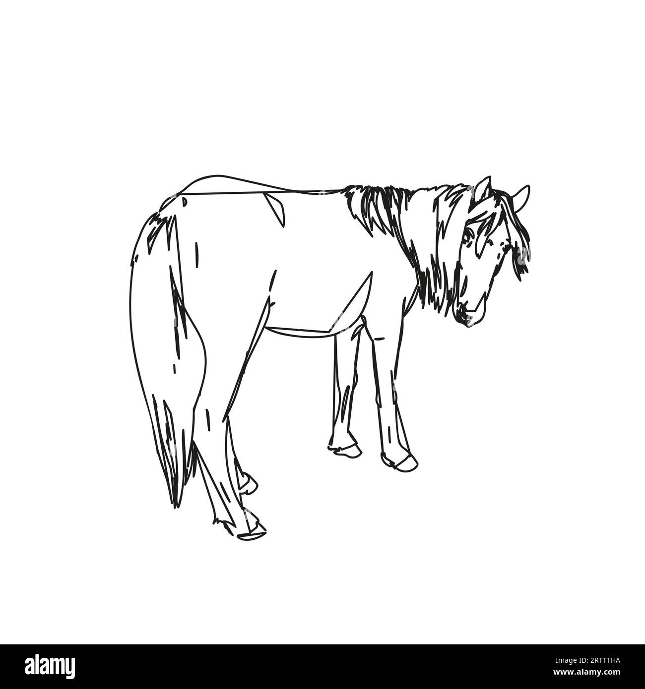 Abstract line sketch of horse with long mane turned her head to look ...