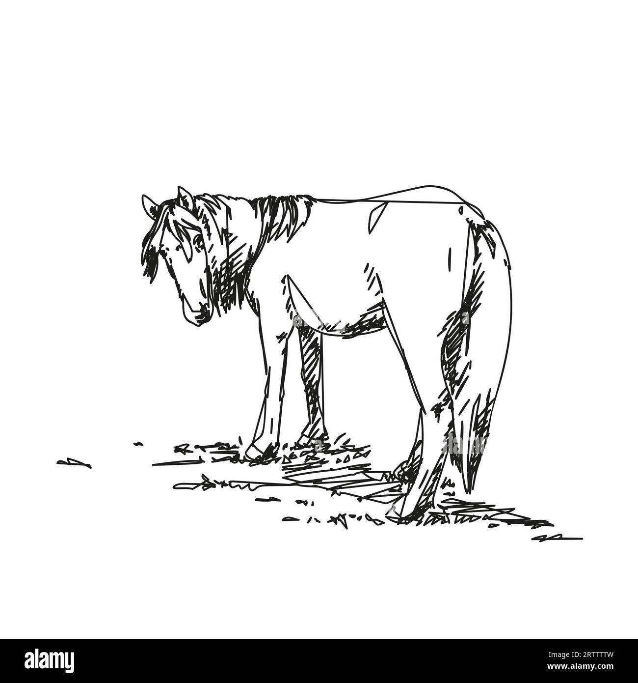 Abstract line sketch of horse with long mane turned her head to look ...