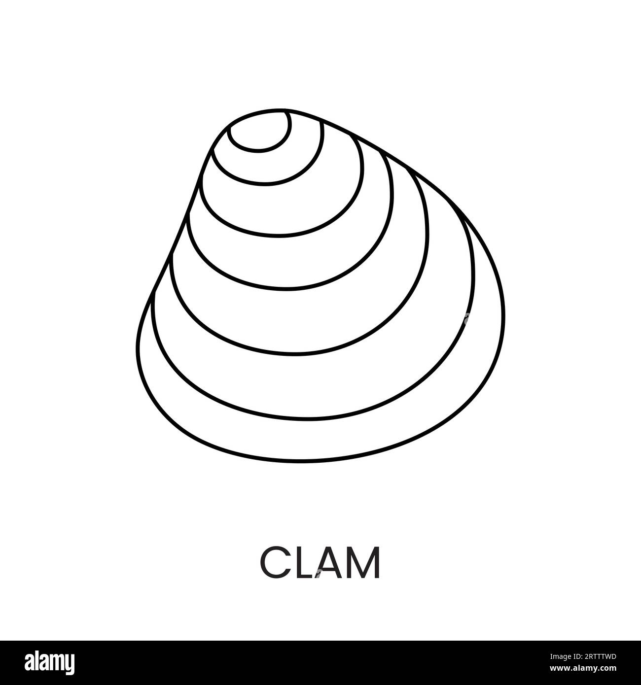 Clam illustration Cut Out Stock Images & Pictures - Alamy