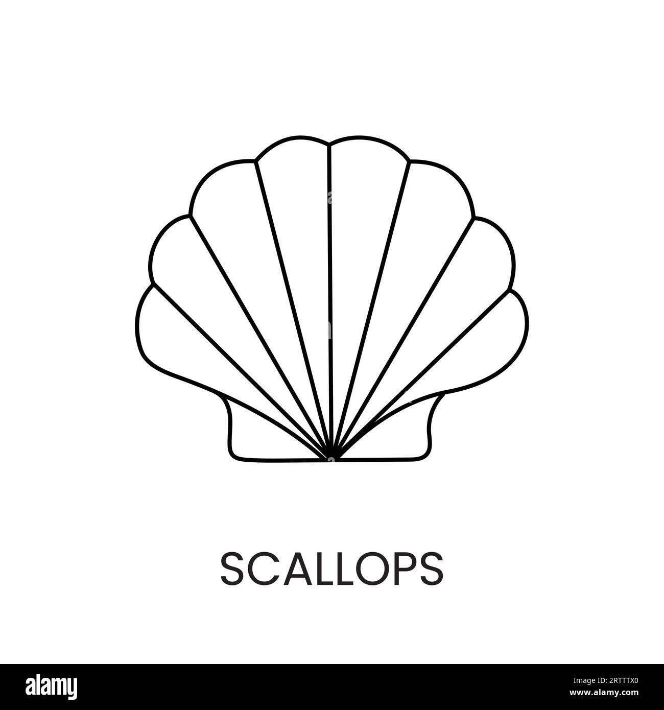 Scallop line icon in vector, seafood illustration Stock Vector Image ...