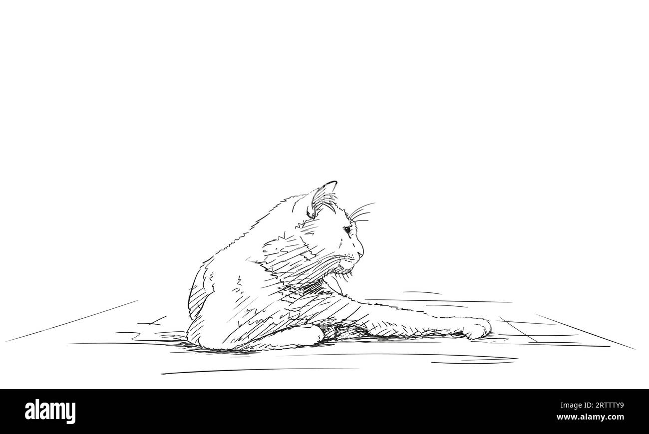 Cat lies resting with one paw outstretched vector sketch, Drawing of ...