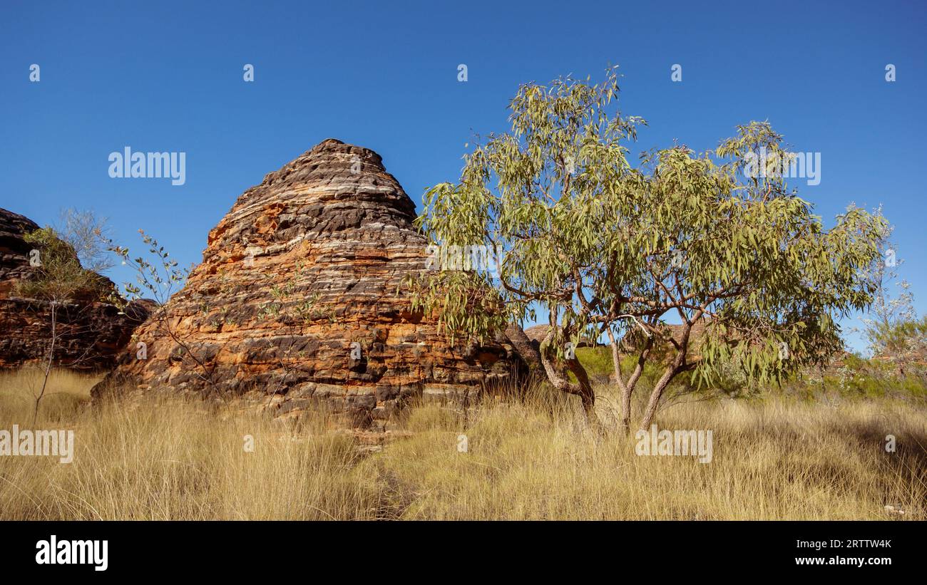 Beehive dome at Purnululu (Bungle Bungles), Western Australia Stock ...