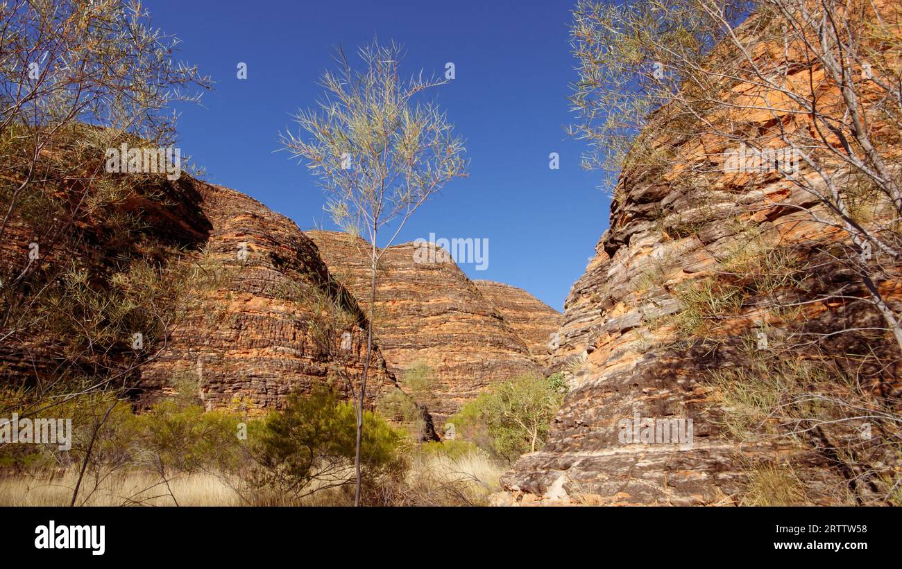 Beehive domes at Purnululu (Bungle Bungles), Western Australia Stock ...