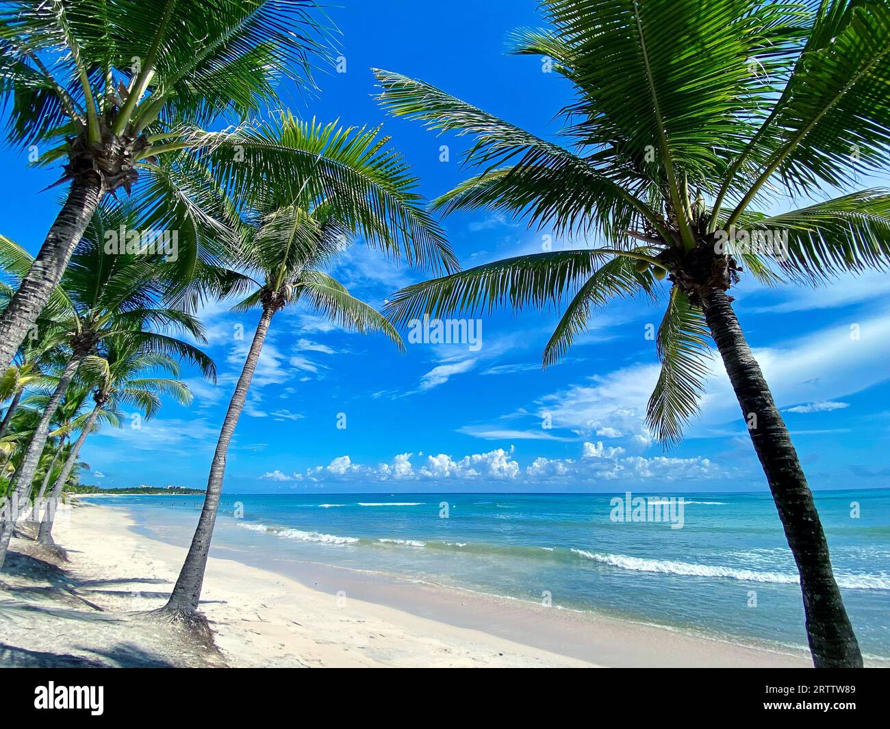 A tranquil, sunny beach setting featuring gently rolling waves lapping ...