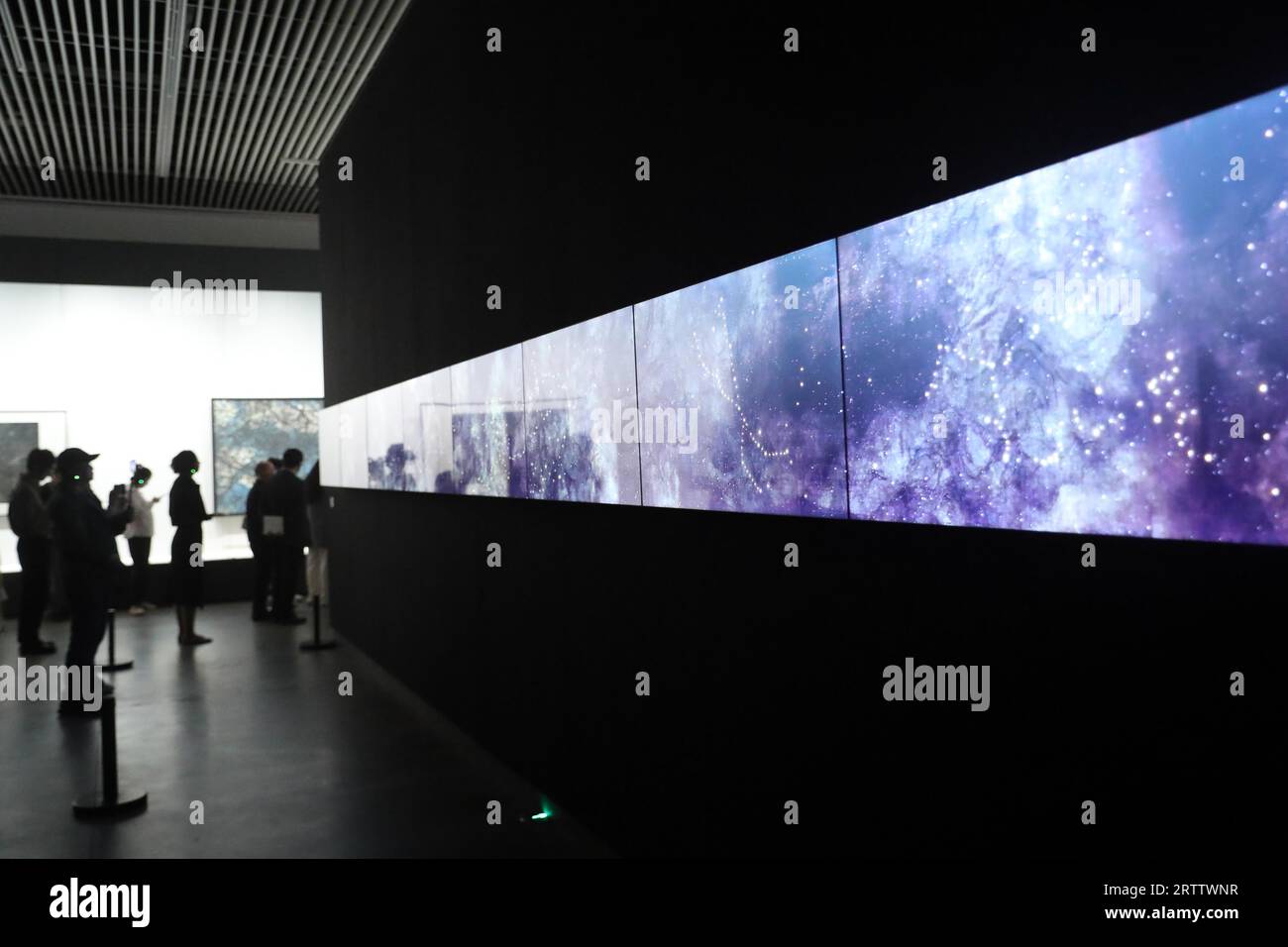 People visit the Exhibition on Ink Art of Post-Lingnan School at ...