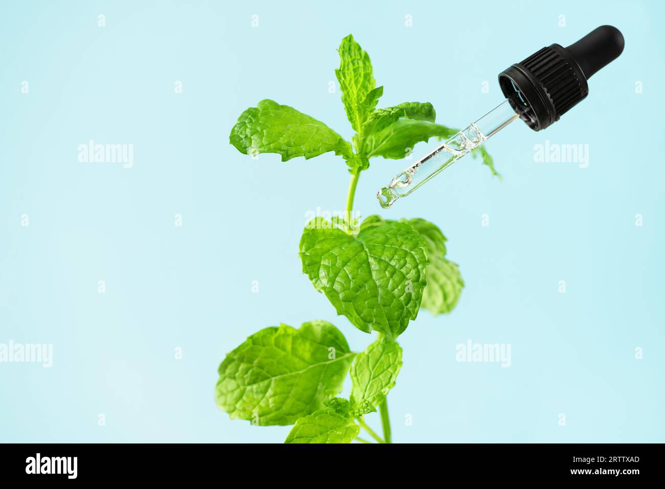 Dropper with mint herbal extract and mint leaf over blue background ...