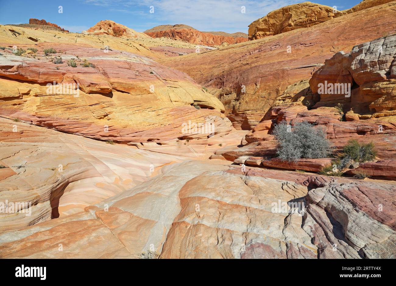 Multicolored rock in Pastel Canyon - Valley of Fire State Park, Nevada ...