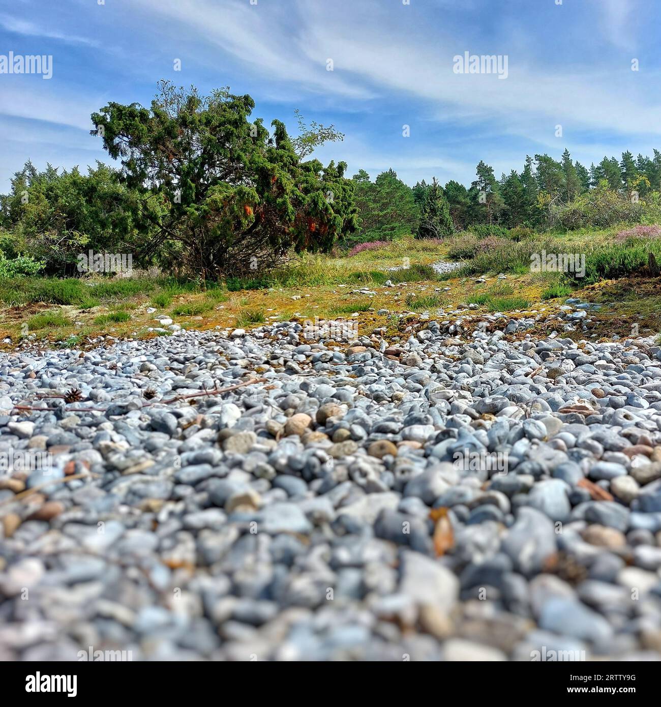 Flintstone fields hi-res stock photography and images - Alamy