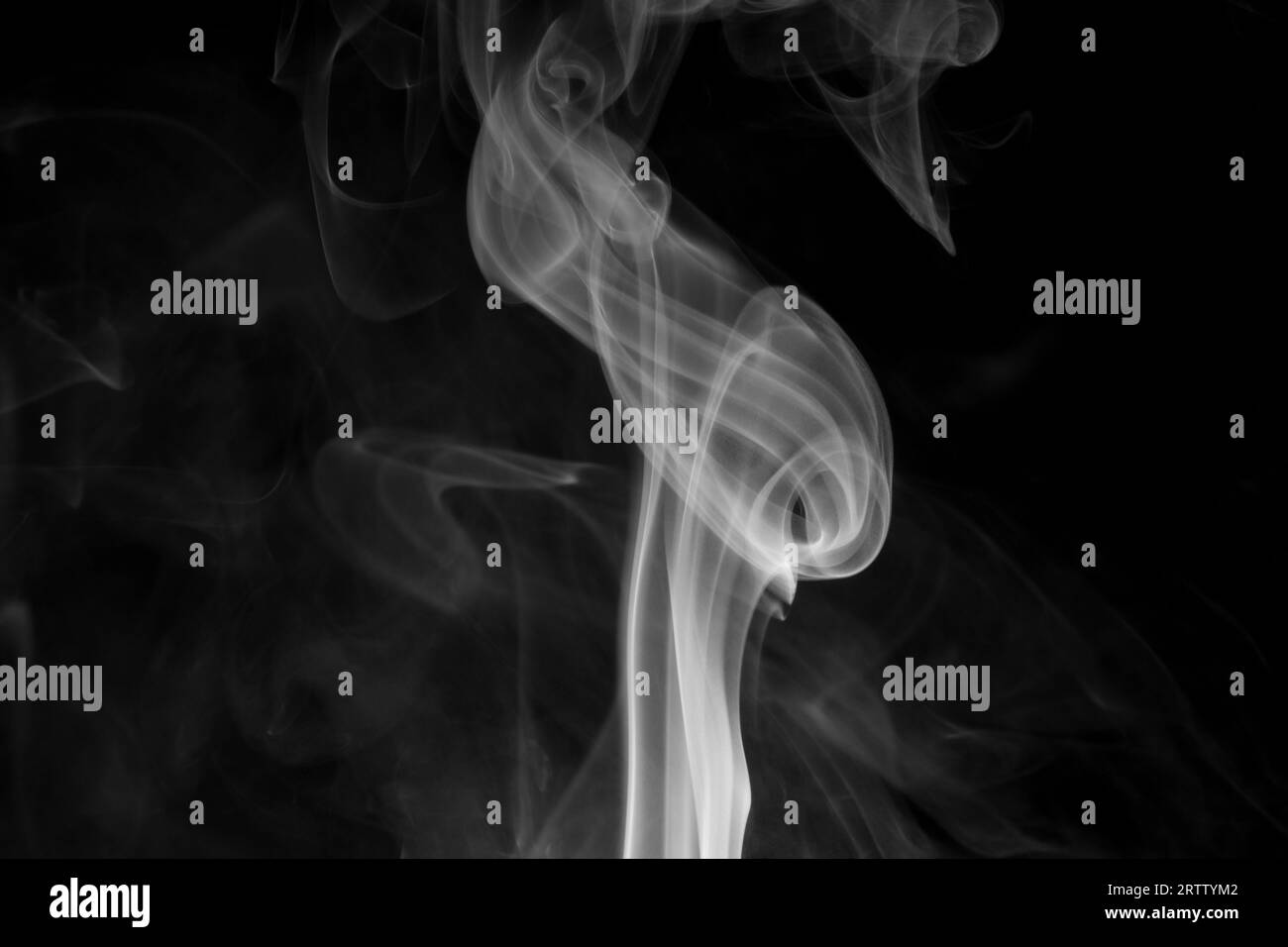 Orange colored Black and White Stock Photos & Images - Alamy