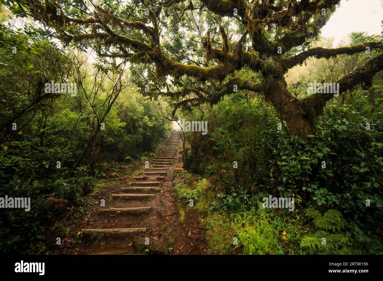 Creepy steps hi-res stock photography and images - Alamy