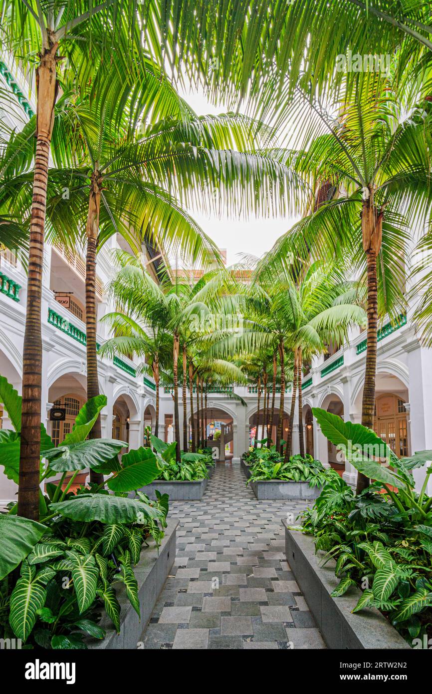 Palm trees in a courtyard at the Raffles Hotel, Singapore Stock Photo ...