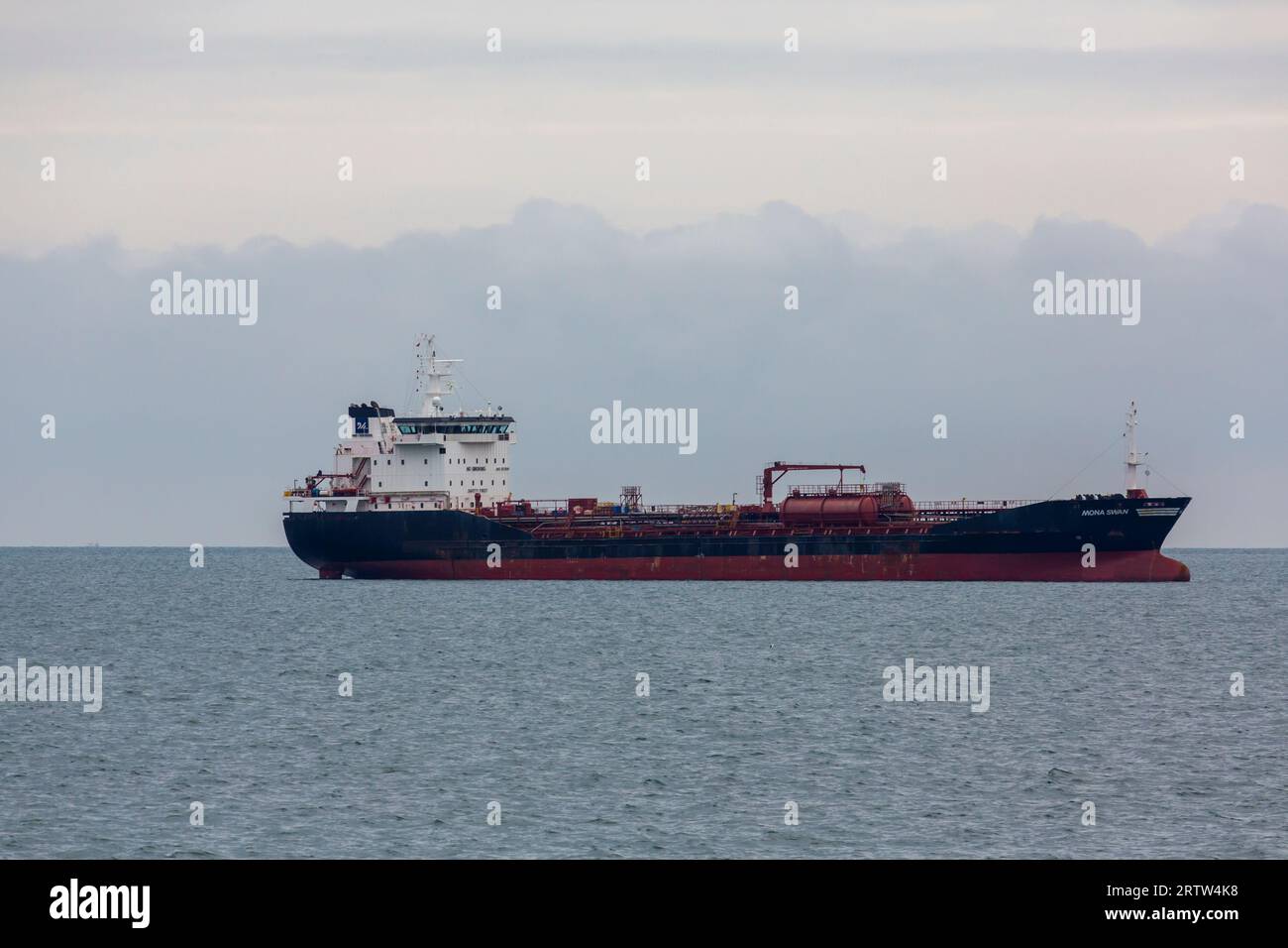 Mona swan hi-res stock photography and images - Alamy