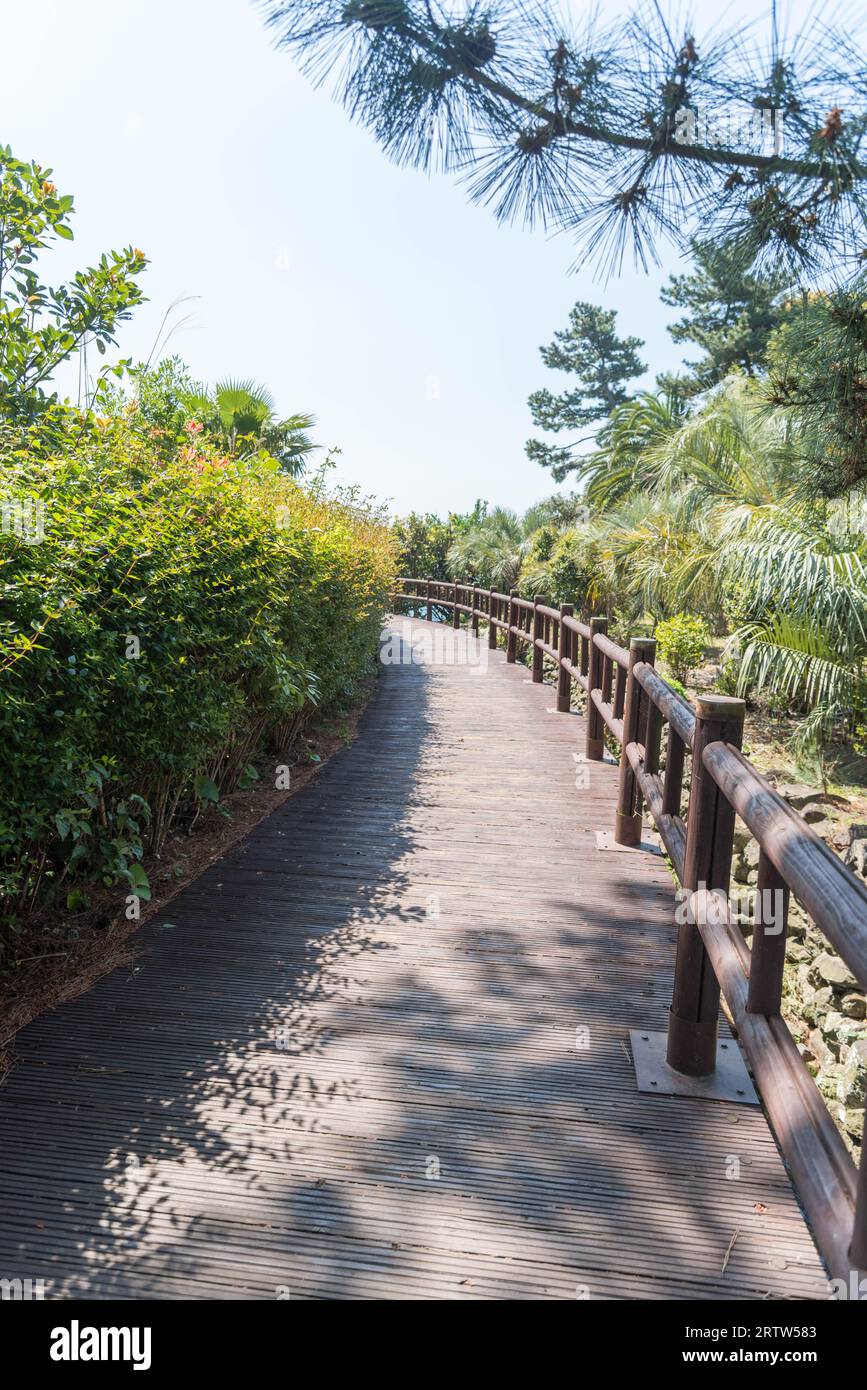 Along a nature trail in Jeju Island, South Korea Stock Photo - Alamy