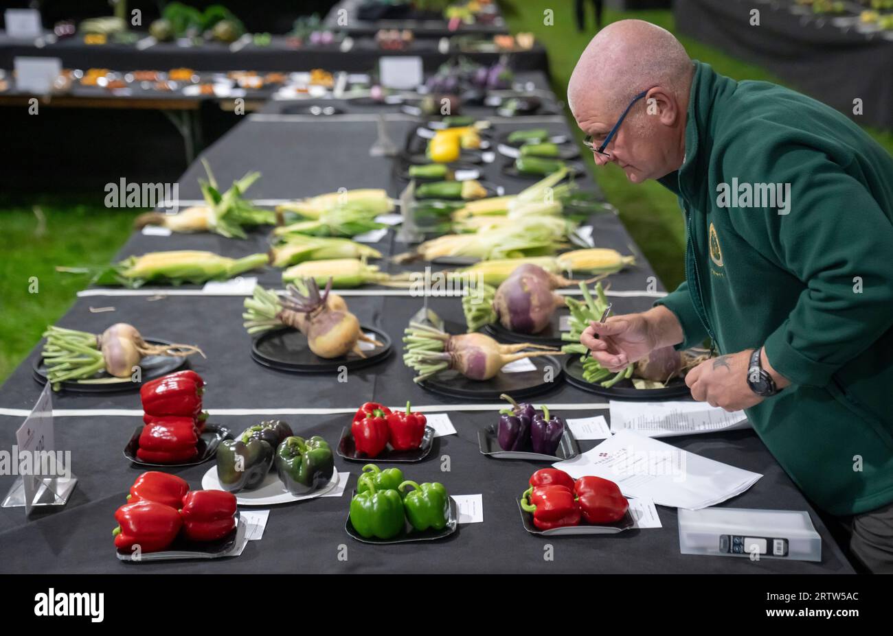 A judge inspects vegetable during the giant vegetable competition at ...