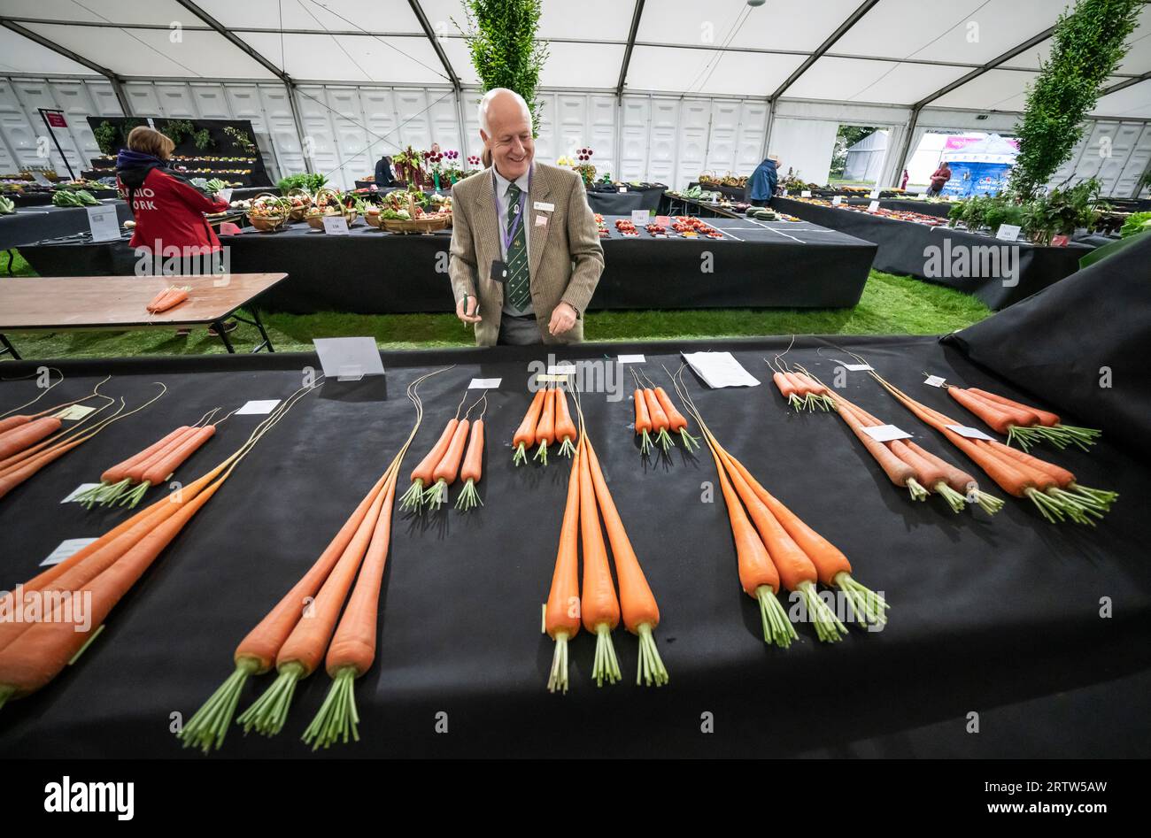 A judge inspects carrots during the giant vegetable competition at the ...
