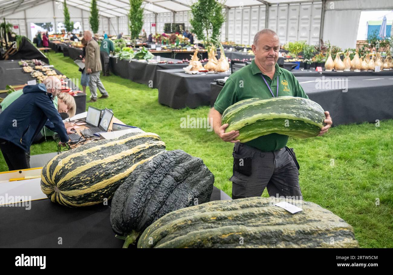 A marrow is moved as judging takes place during the giant vegetable ...