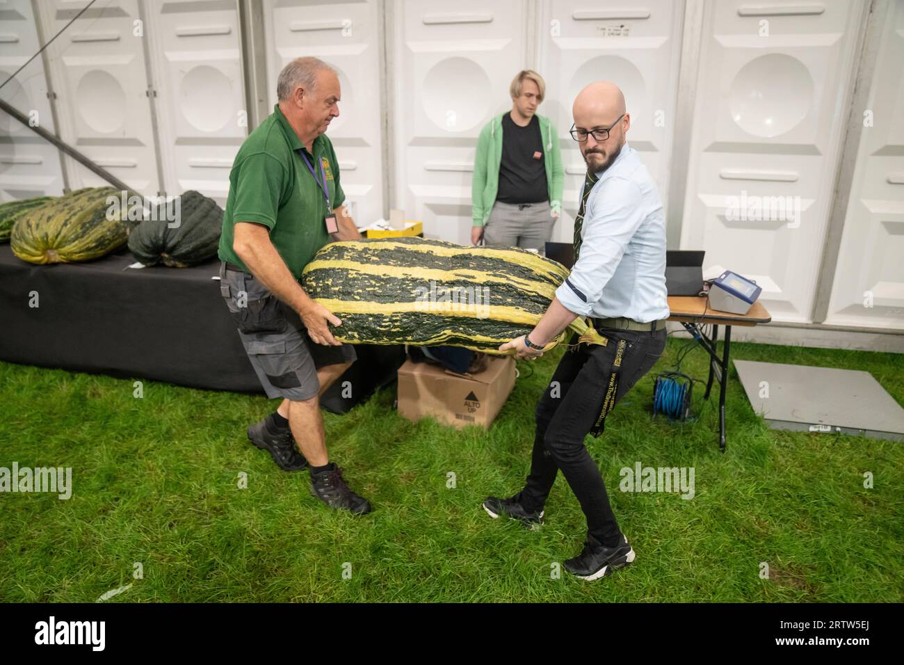A marrow is moved as judging takes place during the giant vegetable ...