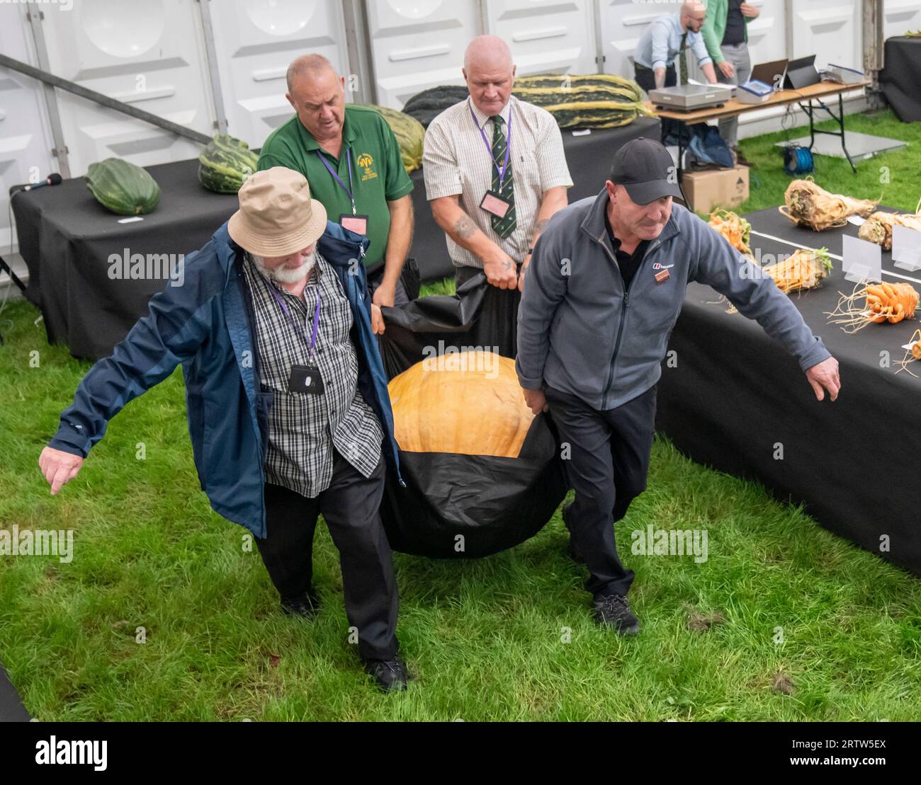 A pumpkin is moved as judging takes place during the giant vegetable ...