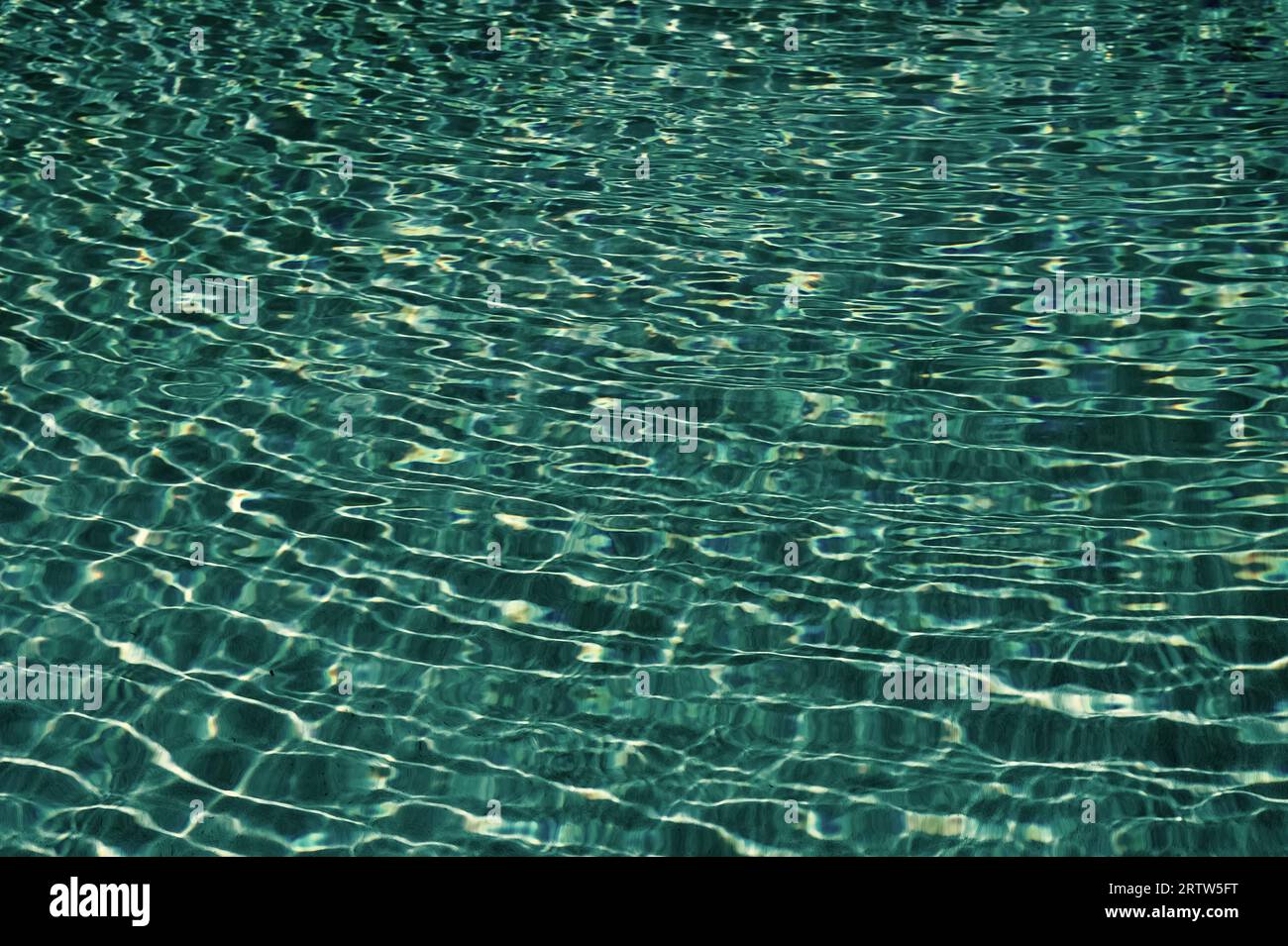 summer pool water background, miami. summer pool water background with ...