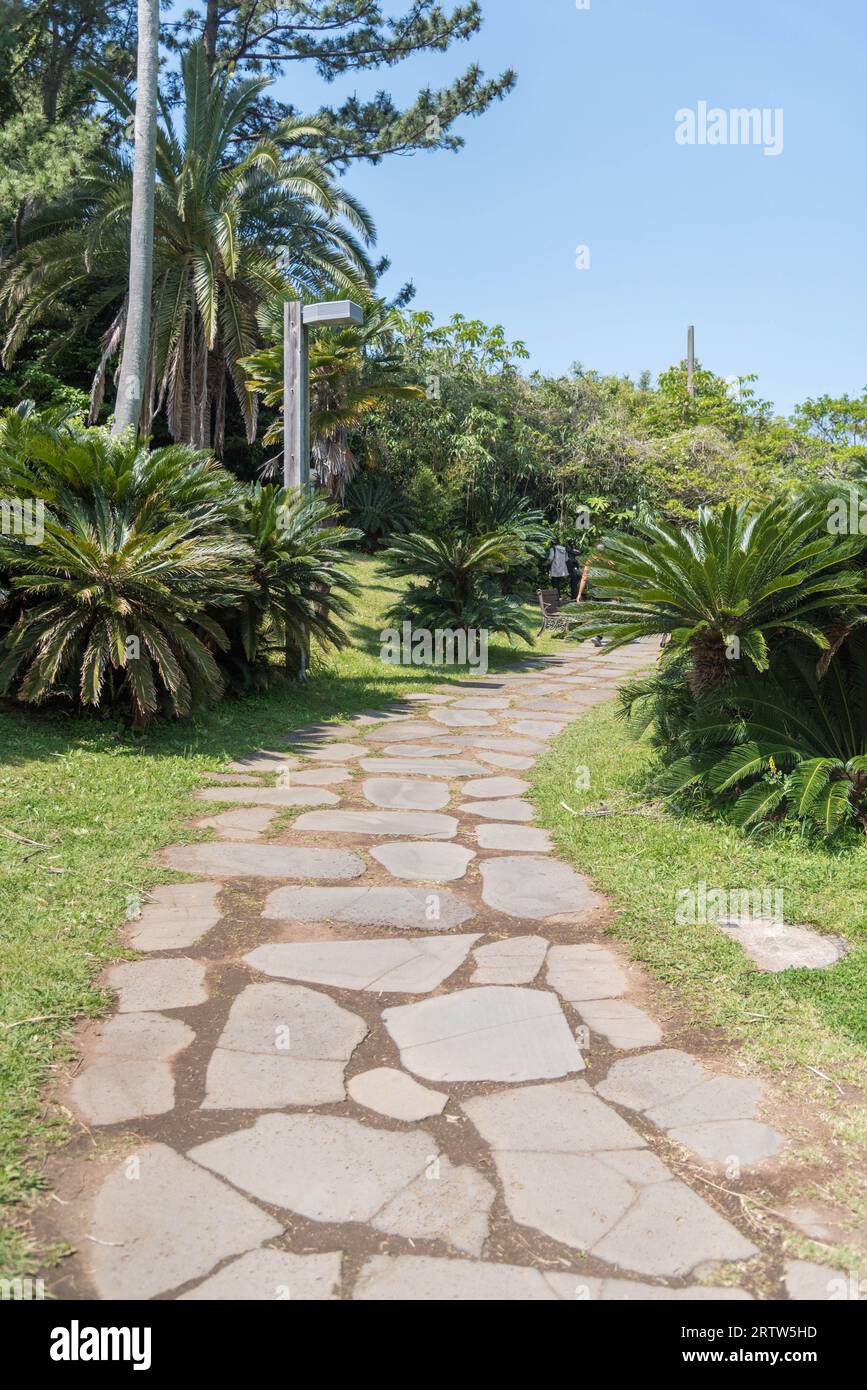 Jeju rocks hi-res stock photography and images - Alamy