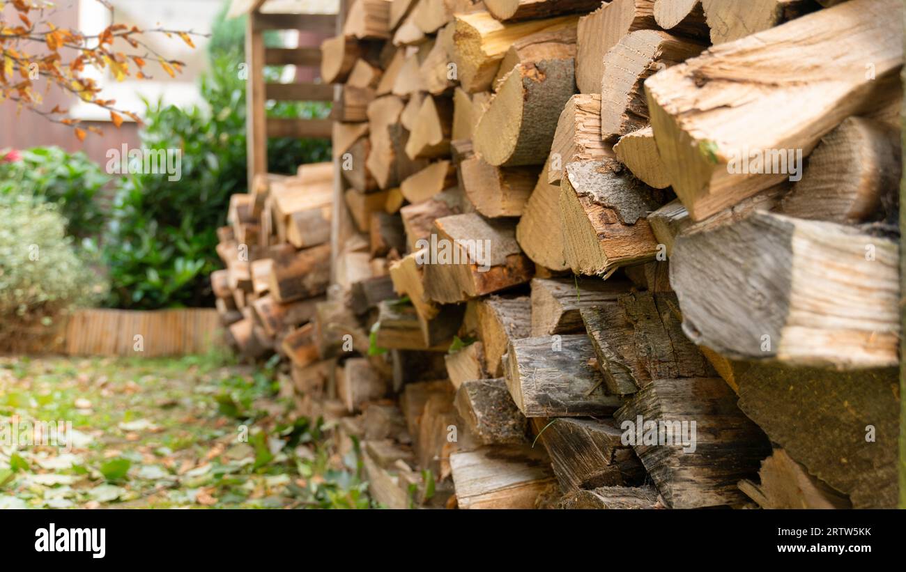Beech logs are stored in the firewood rack. Outside in front of the ...