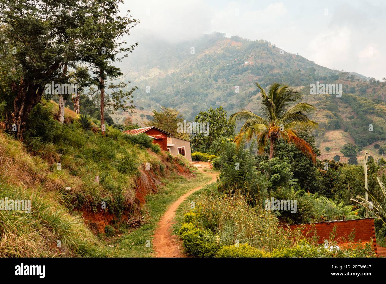 Uluguru mountains tanzania africa hi-res stock photography and images ...