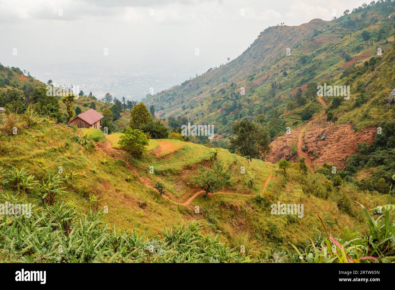 Uluguru mountains tanzania africa hi-res stock photography and images ...