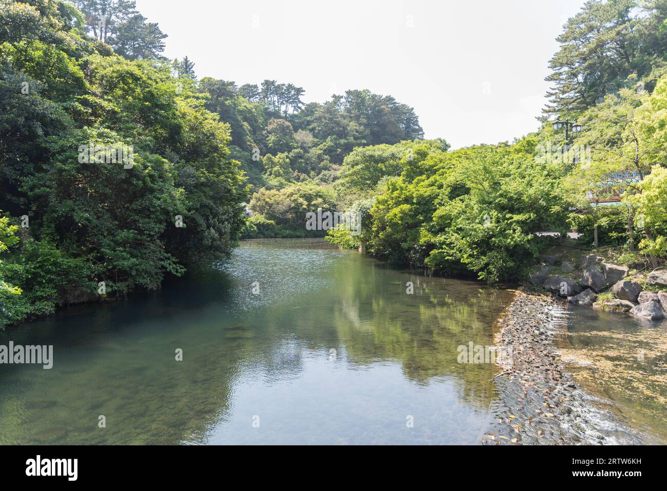 Trees on both sides of the river hi-res stock photography and images ...